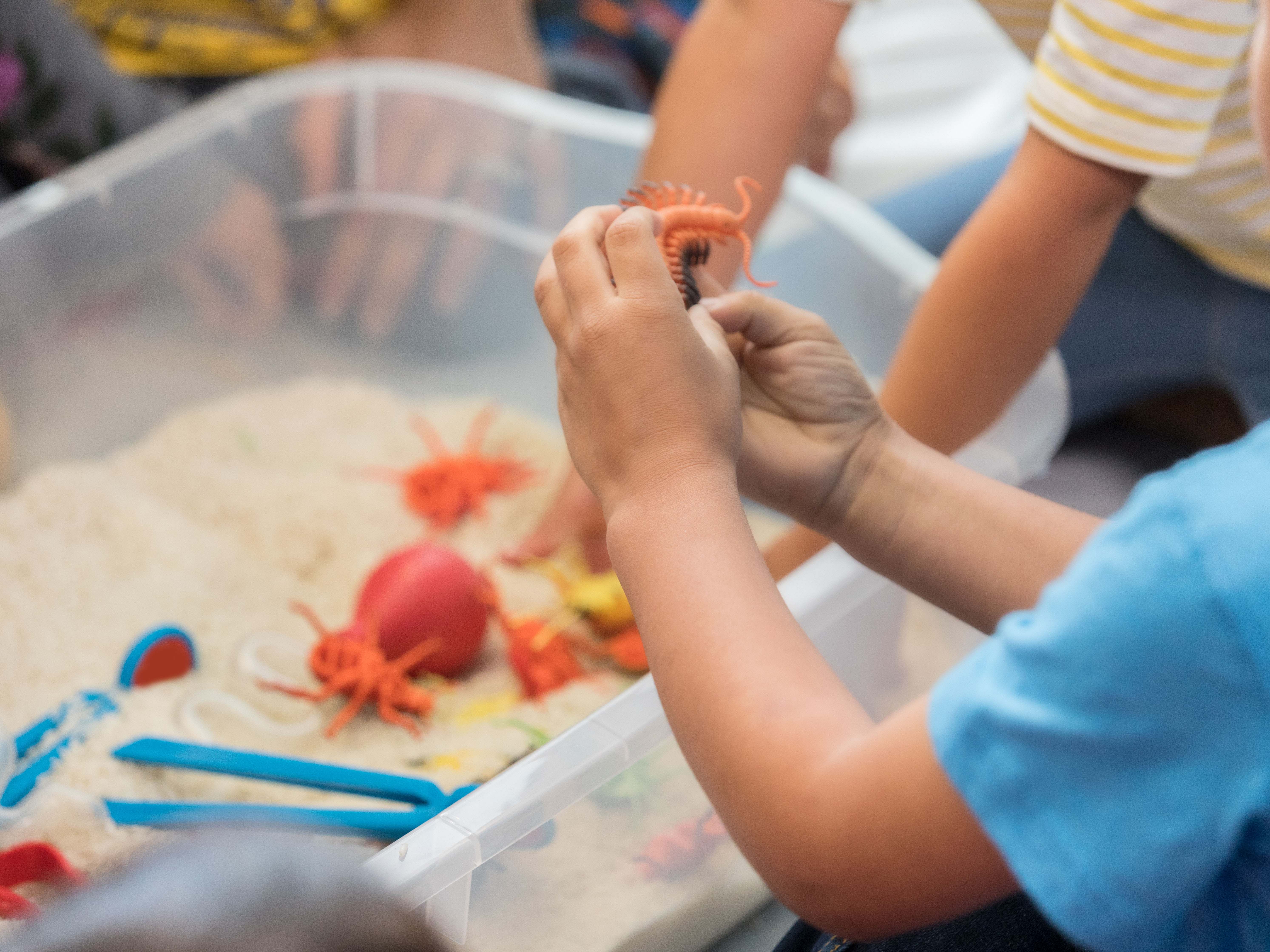 Fraser Blog - 5 Ways Teachers Can Make their Classrooms More Sensory ...