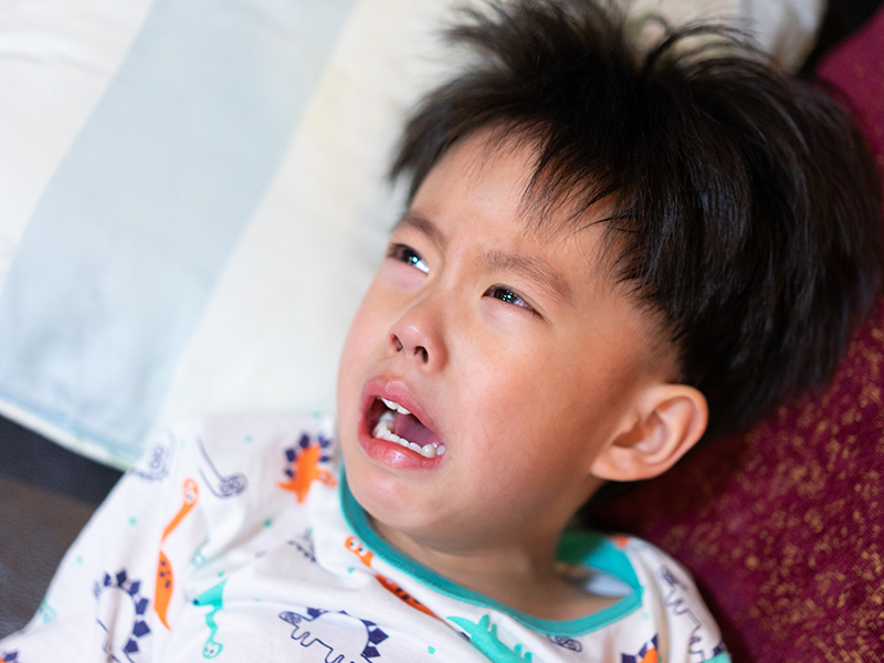 Fraser Blog - How to Navigate the Terrible Twos - Fraser